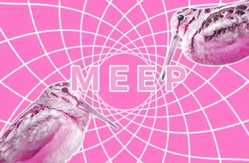 The Meep Revolution
