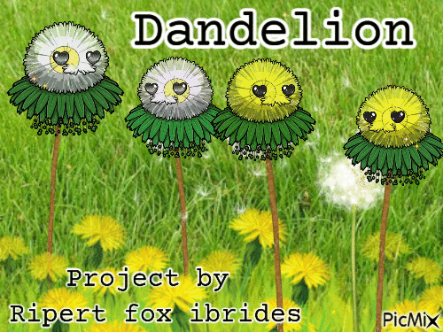 Project Ripert Fox Ibrides